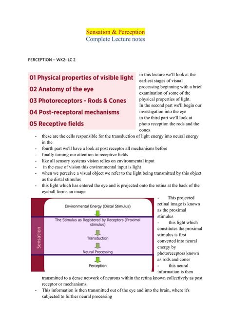 Sensation And Perception Complete Lecture Notes Behv 2010 Perception