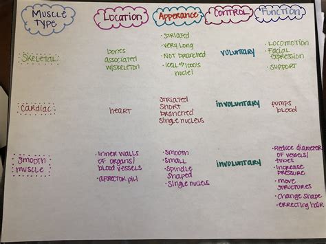 29 Anatomy Concept Maps Ideas To Save Today Anatomy Concept Map