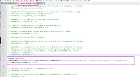 Jupyter Lab不能自动打开浏览器和默认打开chrome浏览器的解决办法 奔奔 武 博客园