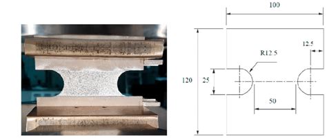 Plane Strain Specimen With Speckle Patterns And Its Dimensions