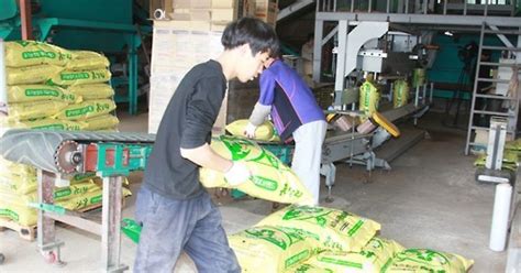 국내 생산 유기농 퇴비 첫 수출괴산 흙살림 24t 선적