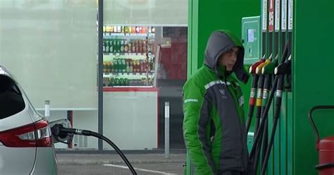 Цены на бензин дизель и автогаз снизились Госстат показал какое топливо подешевело больше всего