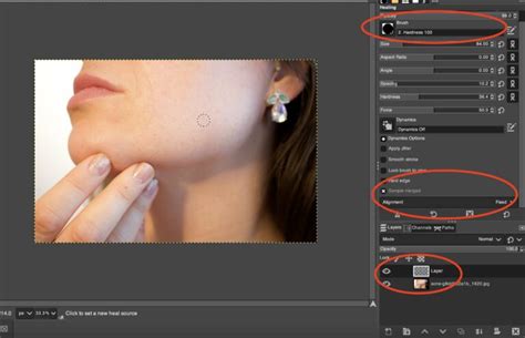 How To Use The Heal Tool In GIMP Remove Blemishes More Edits 101