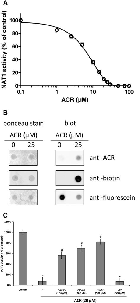 Acrolein An αβ Unsaturated Aldehyde Irreversibly Inhibits The