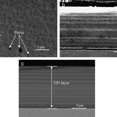 Tin Coated Ss410 A Tin Coating Surface Secondary Electron Image Download Scientific