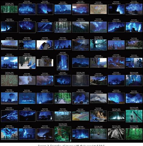 Figure 2 From Deep Learning Based Wildfire Image Detection And Classification Systems For