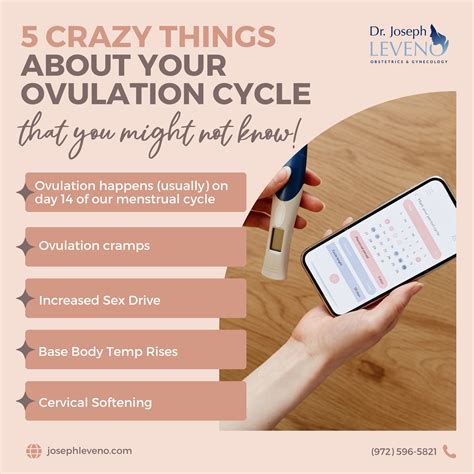 5 crazy things you might not know about your ovulation cycle in Plano, Tx - Dr. Joseph Leveno