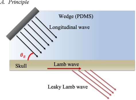 Figure 1 From Transcranial Ultrasound Using Leaky Lamb Waves By Wedge Transducer Array