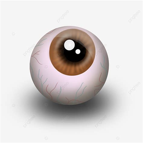 눈 일러스트 구조 안구 그림 안구 클립 아트 눈알 학생 Png 일러스트 및 Psd 이미지 무료 다운로드 Pngtree