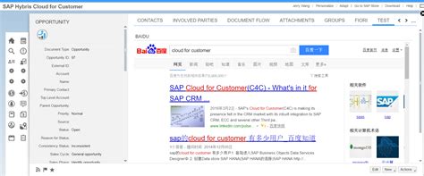 One Possible Cause That Embedded Component Fails T Sap Community