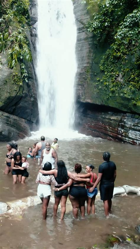 Fedrick Dacres 🐼 Fedrickdacres • Instagram Photos And Videos