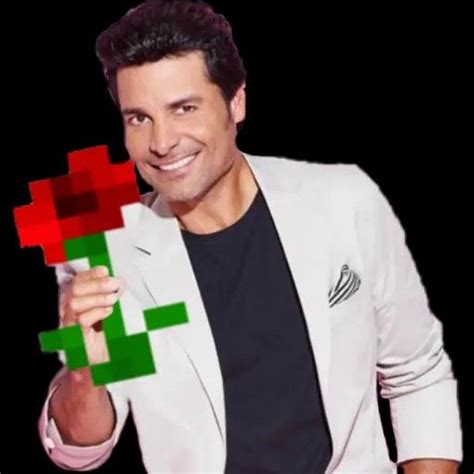 Pin De Victoria Ruiz En Memes Chiste De Gatos Bromas Para Reir Chayanne