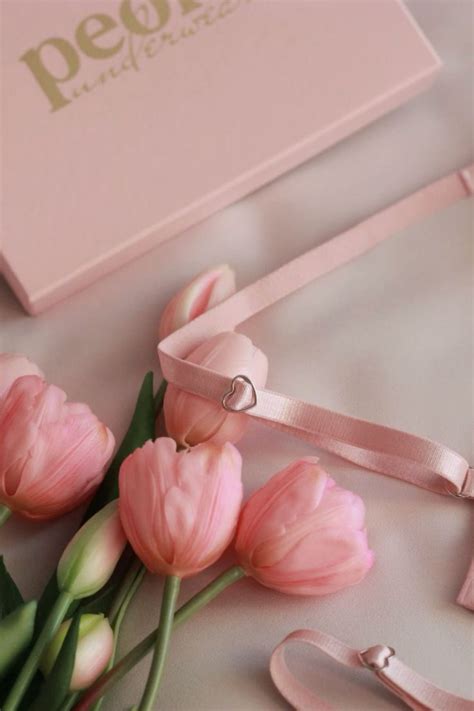 Нижнее белье Данков Added A New Нижнее белье Данков