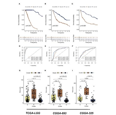 Risk Stratification And Predictive Accuracy In Lgg Cohorts A C