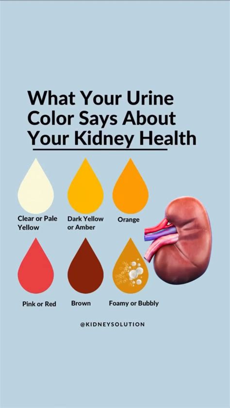 What Does Your Urine Color Say About Your Health The What Your Urine
