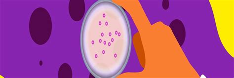 10 Key Factors To Improve Your Cell Counting Results Revvity