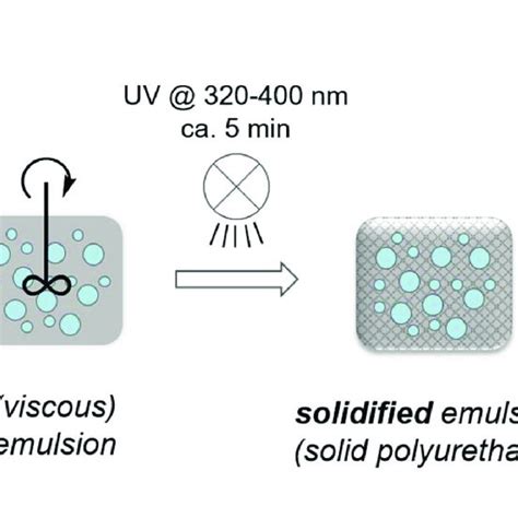 General Preparation Of Uv Cured Enzyme Compartments In Polyurethane Download Scientific Diagram