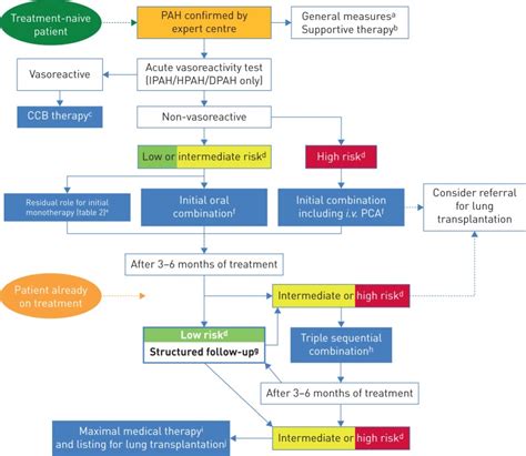 Risk Stratification And Medical Therapy Of Pulmonary Arterial
