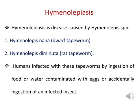 Solution Cestodes Intestinal Cestodes Part 1 Studypool
