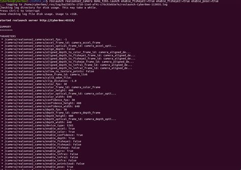 Can T See Access Nearly Any Camera Topics With ROS Issue IntelRealSense Realsense Ros