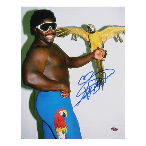 Koko B Ware Signed Wwe 8x10 Photo Mead Chasky Pristine Auction