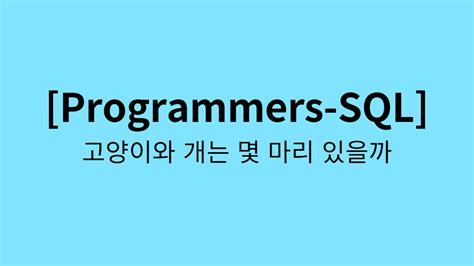 [programmers sql] 고양이와 개는 몇 마리 있을까