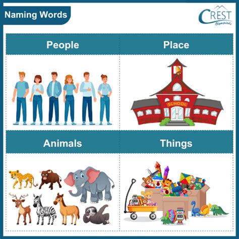 Class 1 Nouns Key Concepts Explained Crest Olympiads