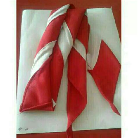 Kacu Pramuka Vector 58 Koleksi Gambar