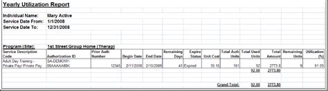 Utilization Report Therap