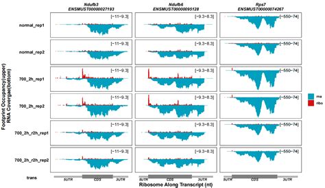 Chapter 4 Align On Transcriptome Riboprofiler Reference Book