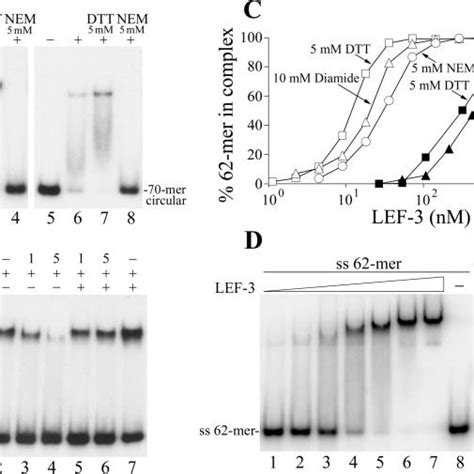 The Sensitivity Of Lef 3 Binding To Dna To Sulfhydryl Reagents A The