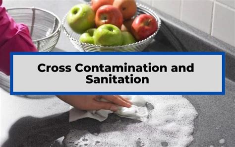 Food Safety Standard