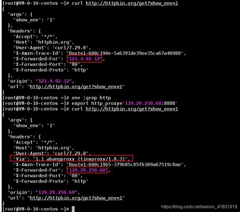linux如何使用tinyproxy搭建代理服务器 linux tinyproxy csdn博客