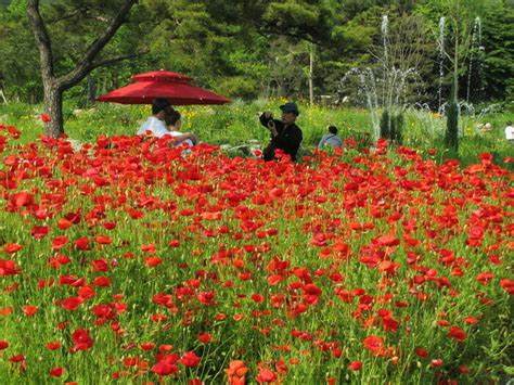 레드·퍼플·화이트·그린 컬러 별 연인 골라서 가요