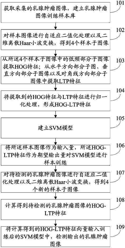 breast tumor detection system and method fusing ltp and hog features