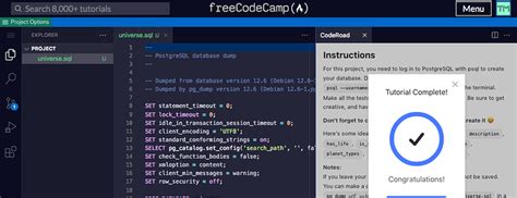 Running The Relational Database Curriculum In Your Browser Backend Development The