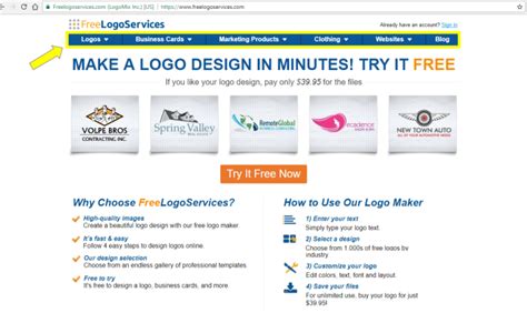 what s the difference between a website and a domain freelogoservices