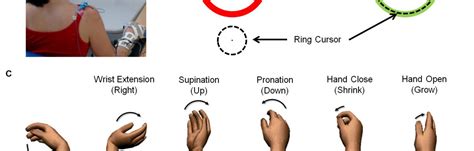 intramuscular emg signal processing