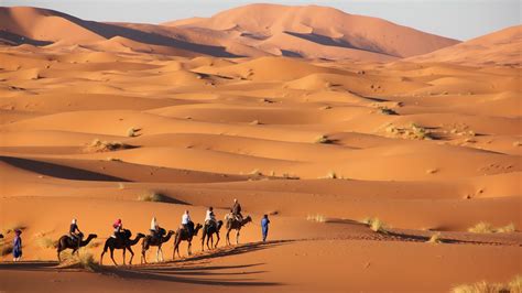 Top 5 Actividades Imperdibles En El Desierto Del Sahara Epic Travels