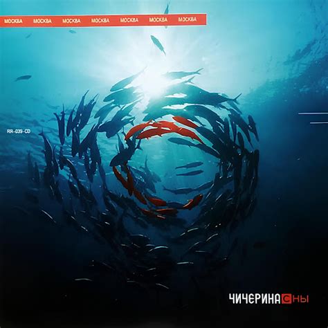 Ту лу ла Youtube Music