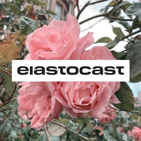 Stream Elastocast 2720 By Clyde Built Radio Listen Online For