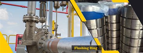 Flushing Ring And Flush Flange For Diaphragm Seals Pressure Gauge