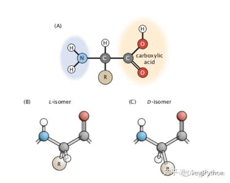 《protein Actions Principles And Modeling》 《蛋白质作用原理和建模》中文分享（1） 知乎