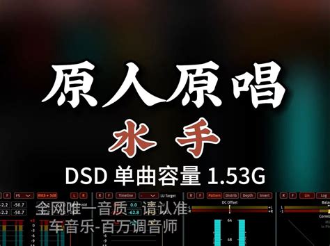 励志经典，原人原唱，郑智化《水手》dsd完整版1 53g，百万调音师专业录音棚制作，顶级hifi无损音质 车音乐 百万调音师 车音乐 百万调音