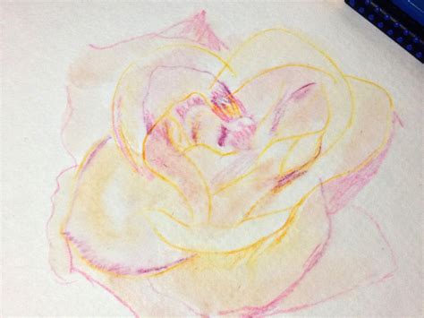 Createx2 Watercolor Rose