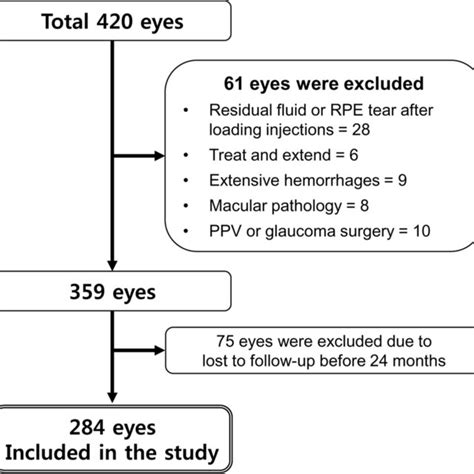 Representative Cases Showing Subfoveal Macular Neovascularization Mnv