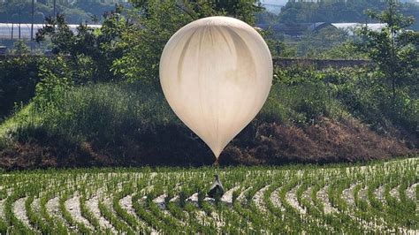 Dasl Yoon Journalist Profile Intelligent Relations