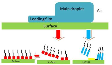 The Bipolar Nature Of Trisiloxane Surfactants Results From A Molecular