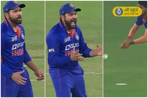 Arshdeep উইকিপিডিয়ায় অর্শদীপ ‘খলিস্তানি সংস্থার এগজিকিউটিভকে জেরার