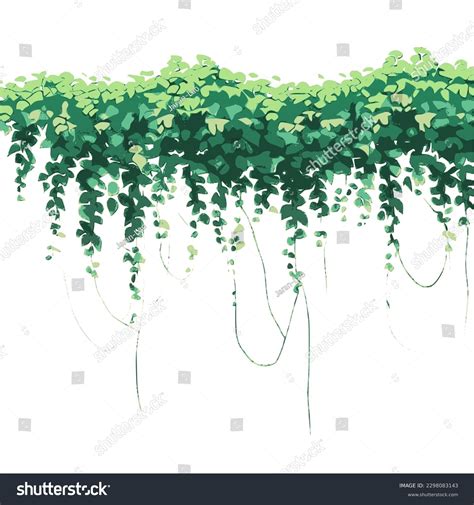 Flowers On Vine Over 51 127 Royalty Free Licensable Stock Vectors And Vector Art Shutterstock